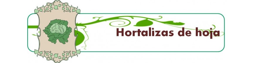 hortalizas de hoja - planeta semilla